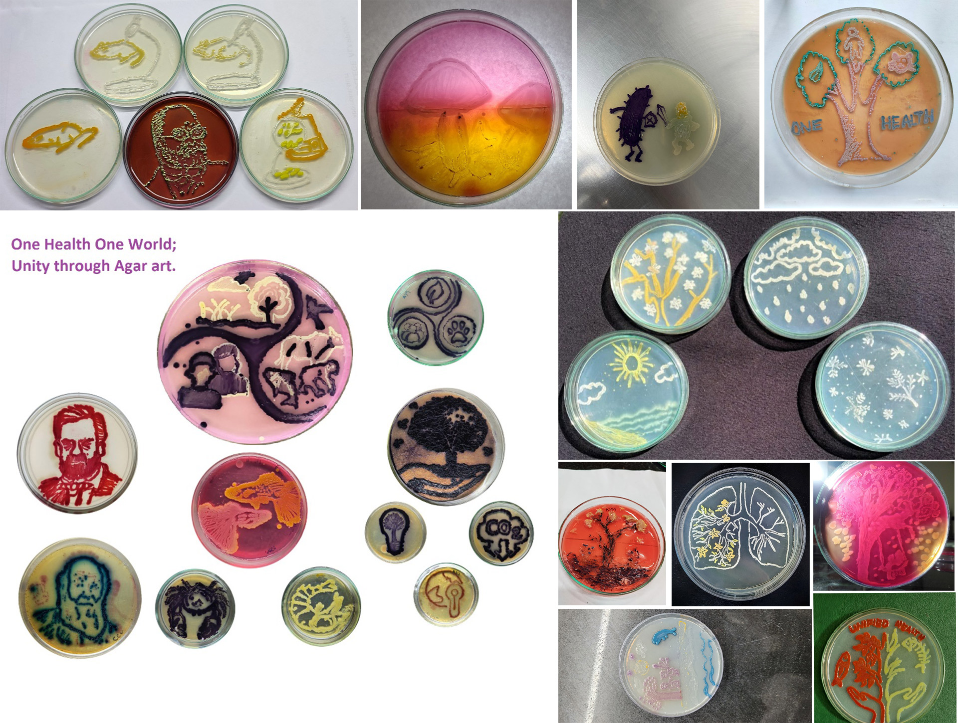 Agar Art – Centre of Excellence in Microbiome (CoEM)
